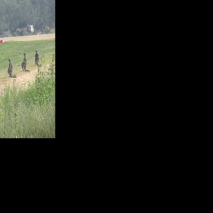 “War Games” at Fort Polk | Local News | klax-tv.com