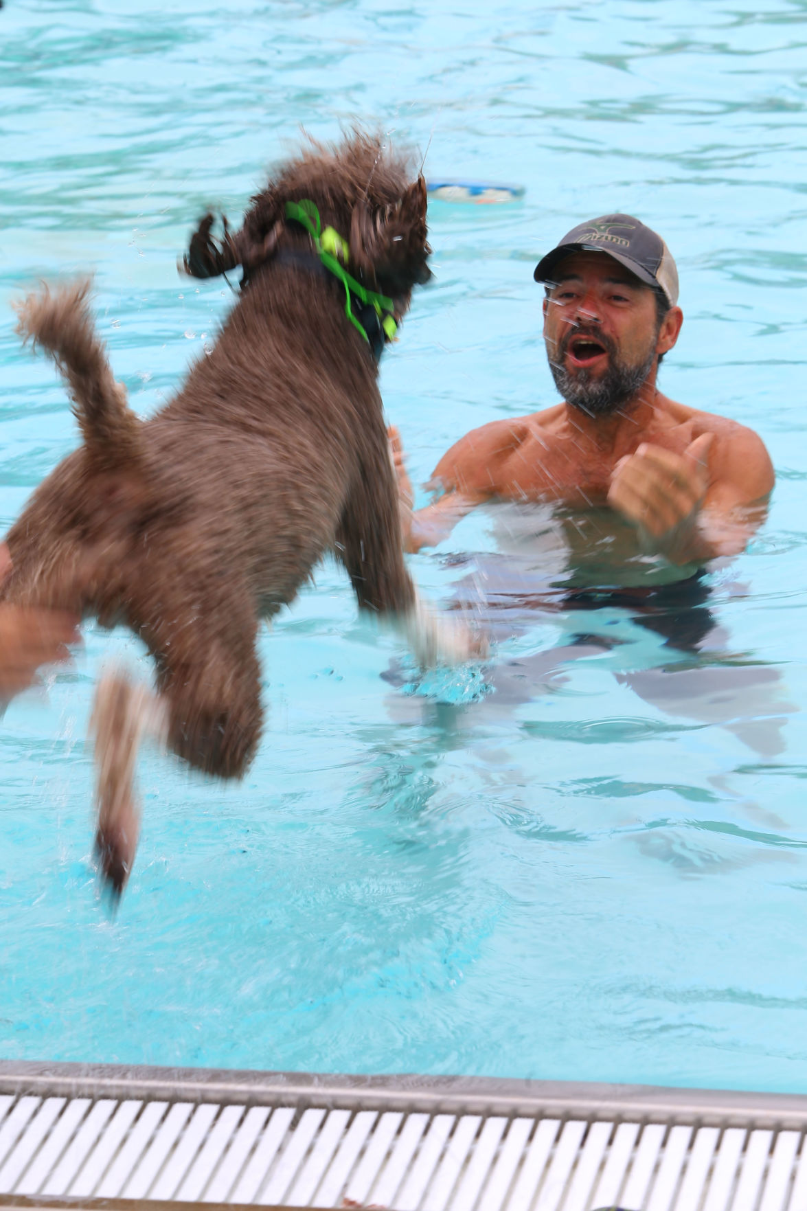 Pooches in the Pool | News | kokomotribune.com