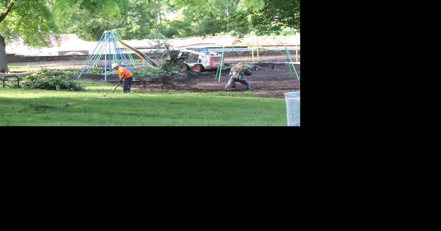 Thursday night storm leaves behind downed trees, power lines | News ...