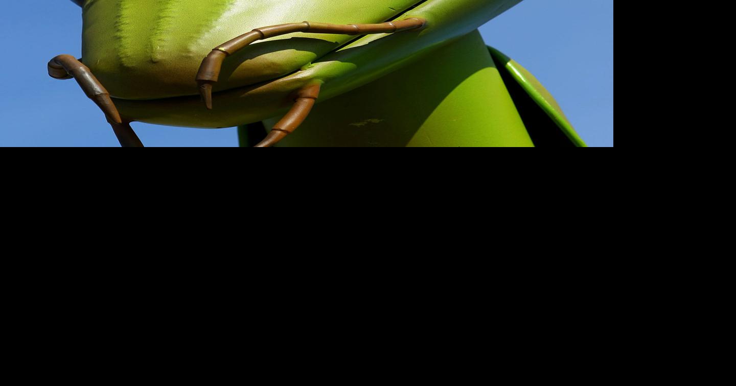 100 Objects: 98. Kokomantis | Special Sections | kokomotribune.com