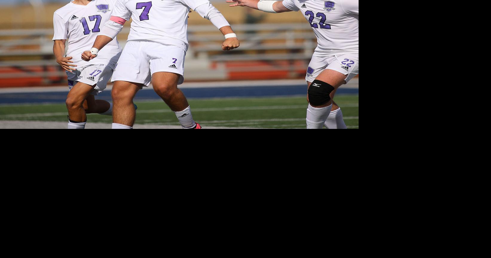 BOYS SOCCER: NW edges Western 2-1 to win 2nd straight sectional ...