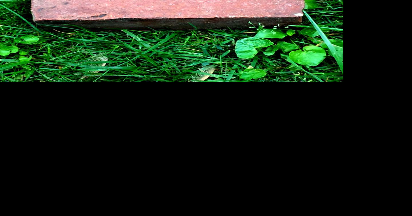 100 Objects: 99. Kokomo Bricks | Special Sections | kokomotribune.com