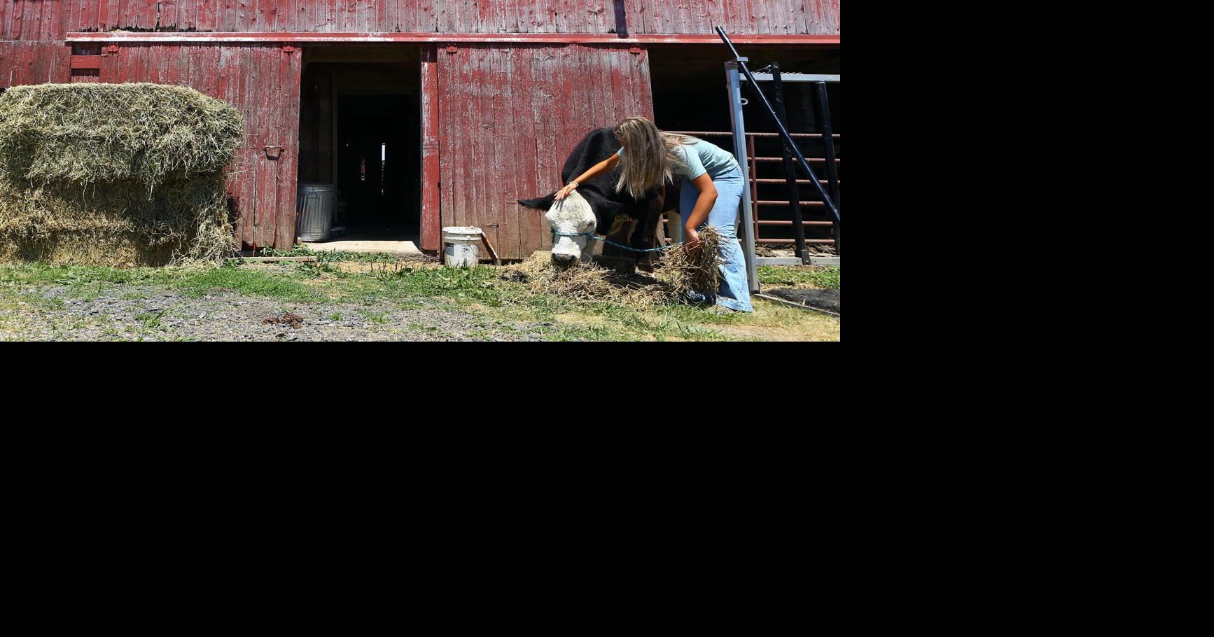 Farming the future: Hannah family uses 112-year-old farm to teach youth ...