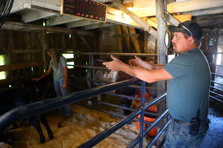 Farming the future: Hannah family uses 112-year-old farm to teach youth ...