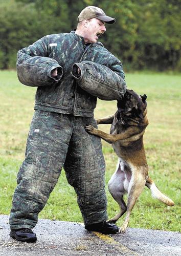 KPD unveils new K-9 officers during Cash for Canines fundraiser | Local ...