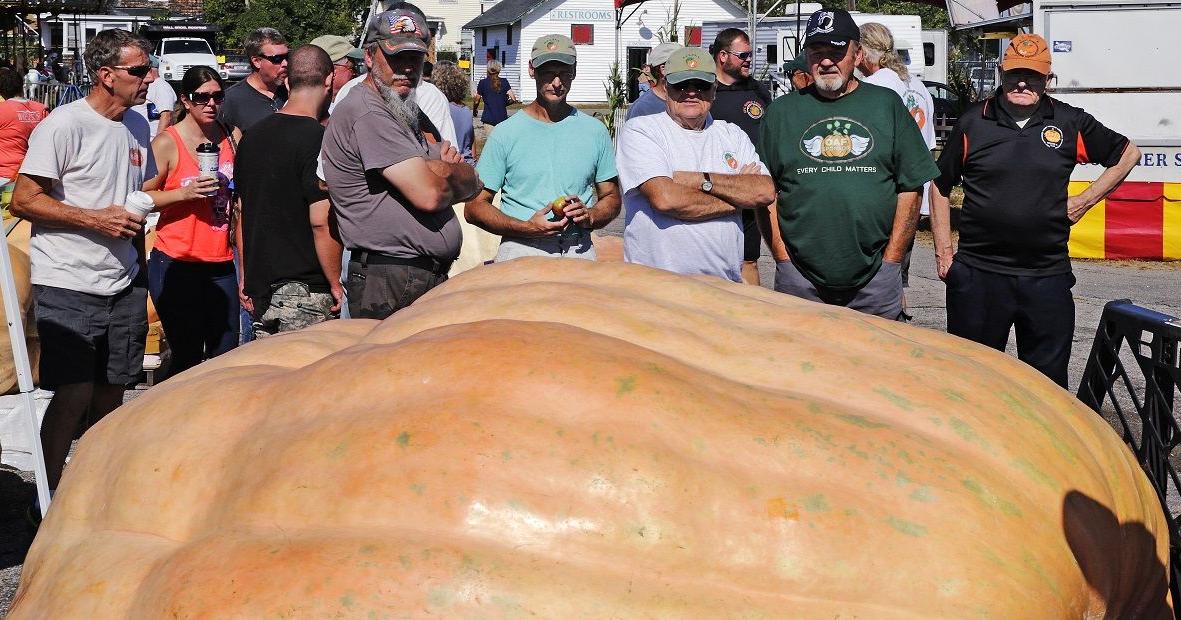 How do you grow a 2,000-pound pumpkin? It's complicated | Features ...