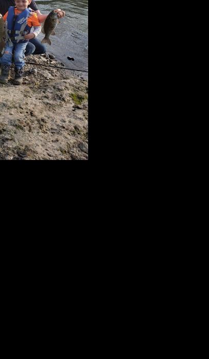 MARTINO: Turkey vultures fill role of nature's cleanup crew | Sports ...