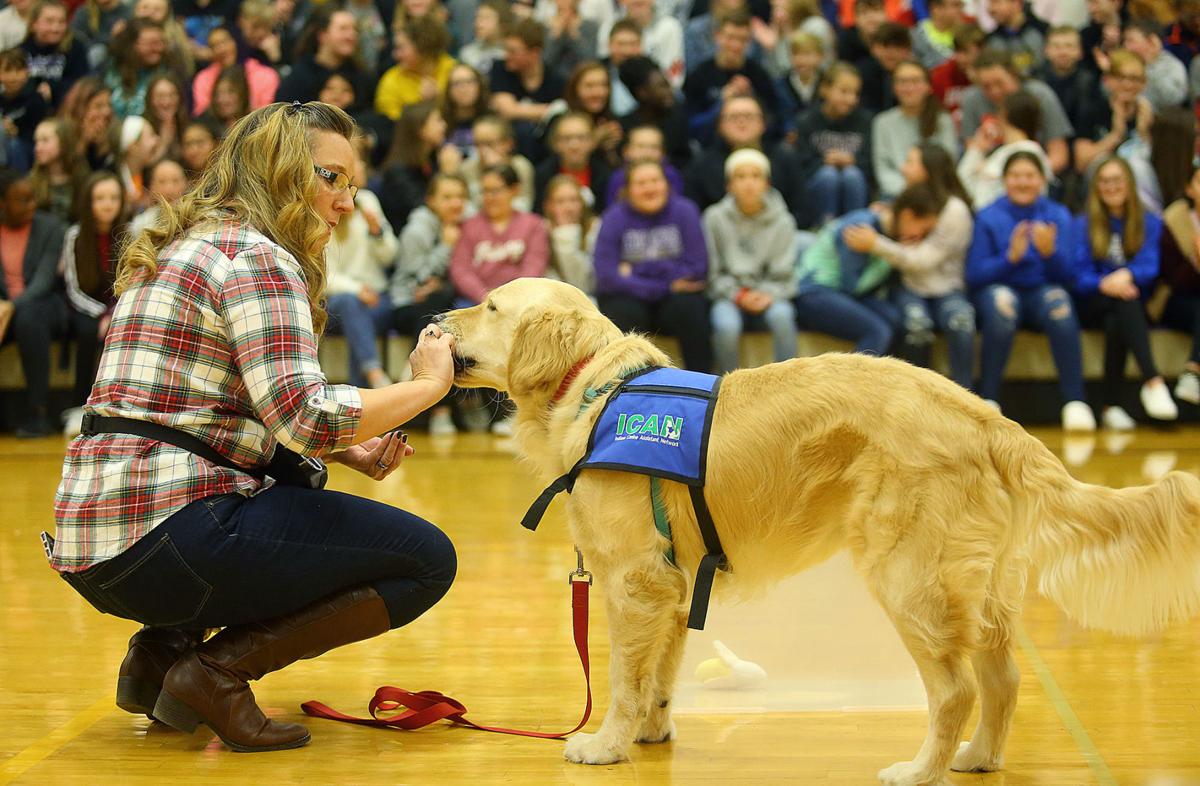Northwestern Middle School introduces facility dog | Local news ...