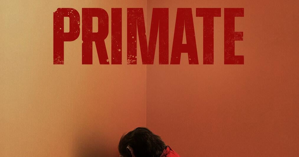 Maceo Milligan film review: Latest horror film ‘Primate’ fills January ...