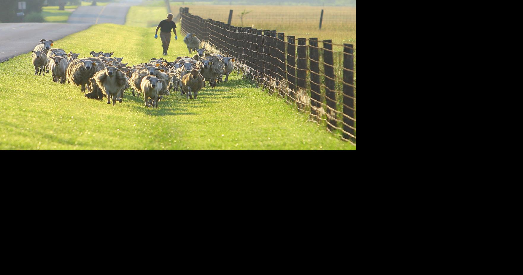 A Higher Calling: Multi-generational family works towards sustainable ...