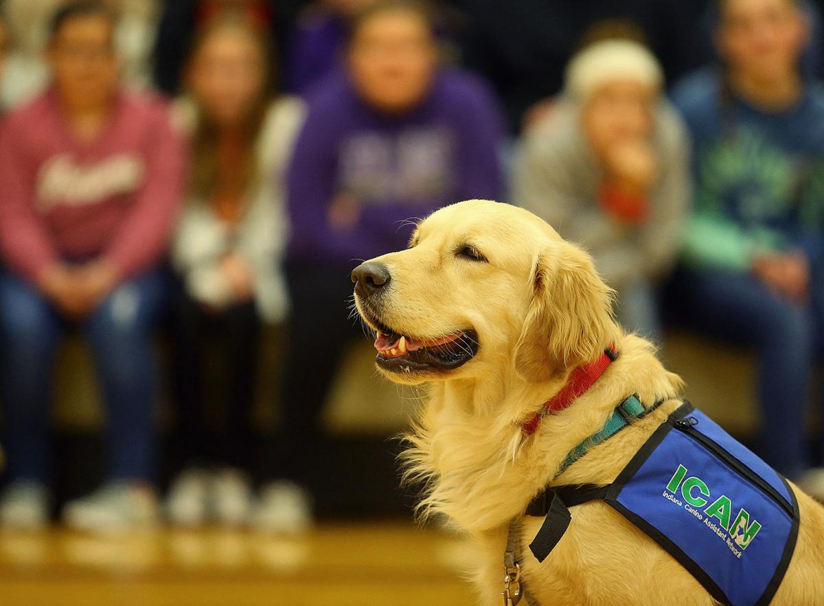 Northwestern Middle School introduces facility dog | Local news ...