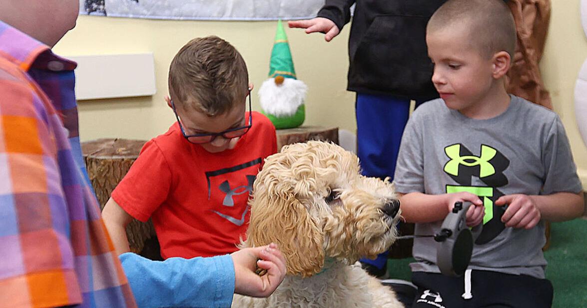 New pup at school: Howard Elementary’s new therapy dog an instant hit ...