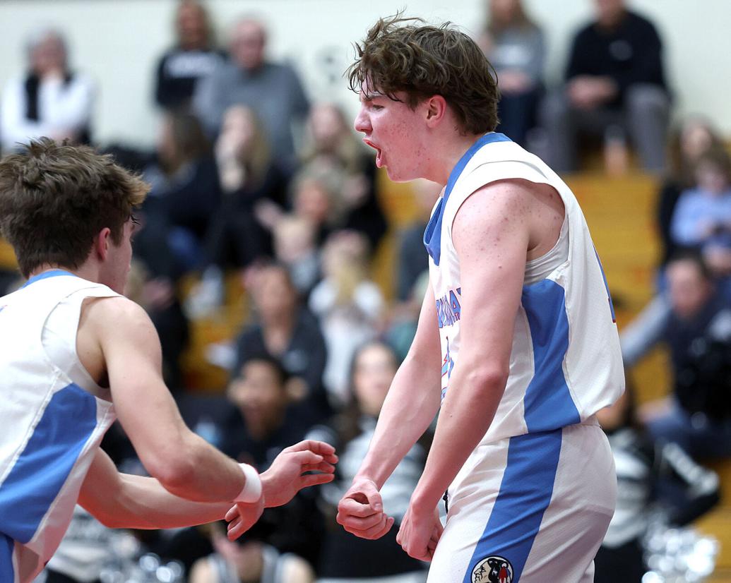 BOYS BB: Tigers edge Red Devils, Braves boot Panthers at Logan ...