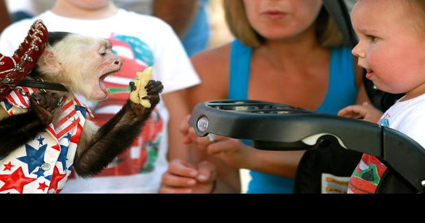 4-H FAIR: Kids, adults offer their change to a pair of monkeys at the ...
