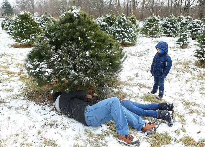 Saving the Christmas tree tradition: Local tree farm fighting spike in ...