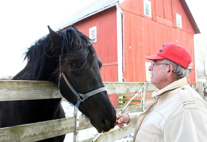 The horse hall of fame | News | kokomotribune.com