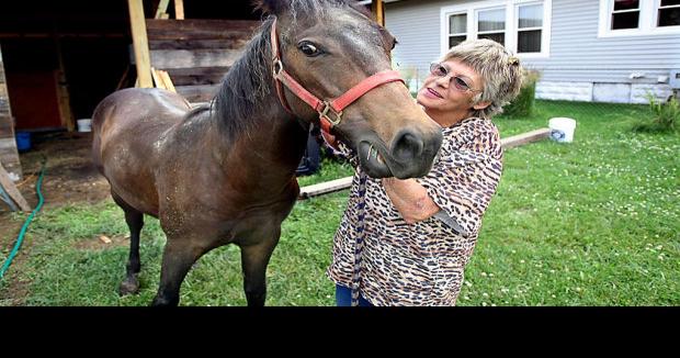 Horse owner defends stable within city | Local news | kokomotribune.com