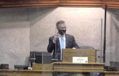 Senate panel OKs bill fully funding remote learning | Local news ...