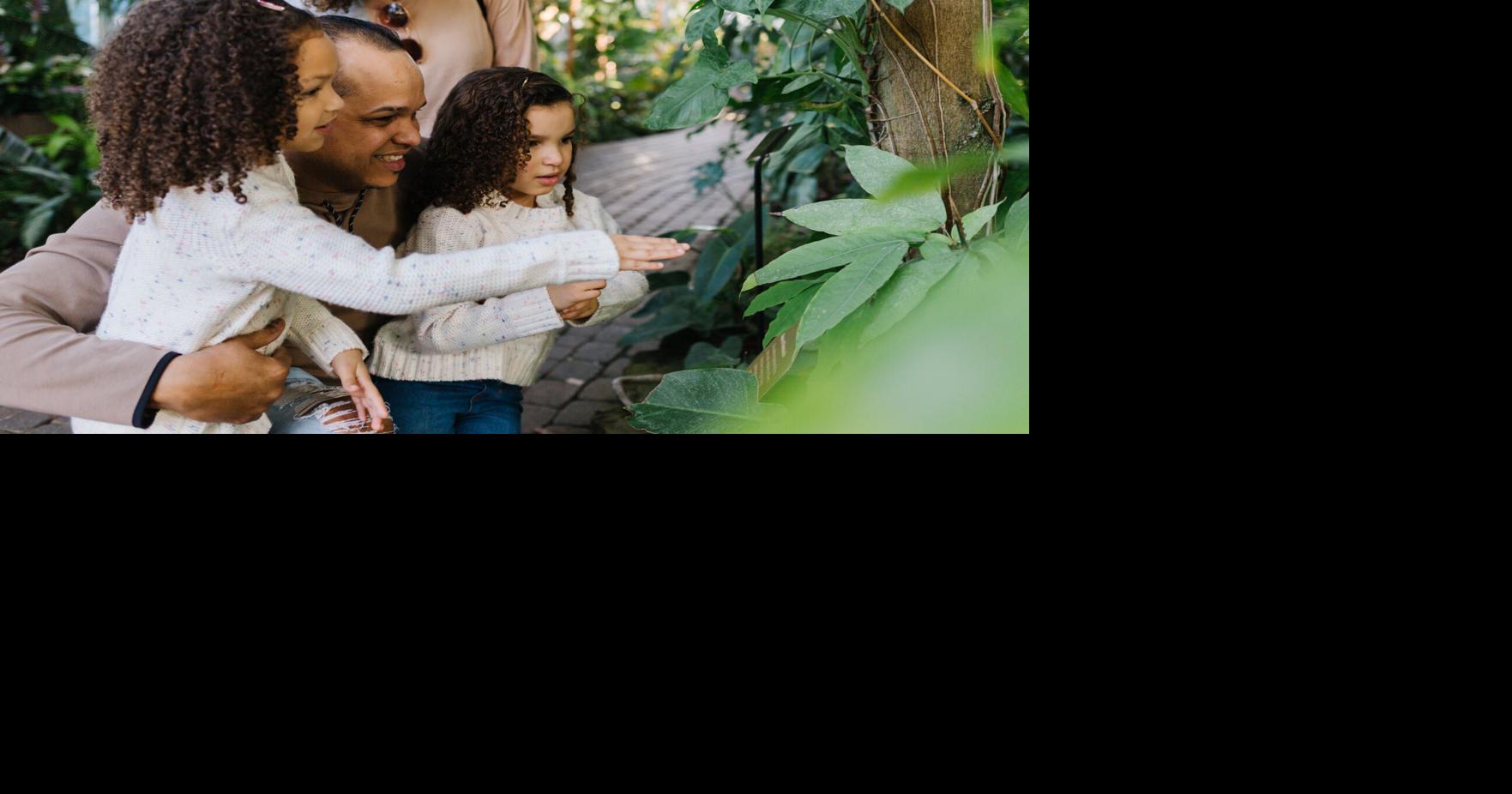 Frederick Meijer Gardens & Sculpture Park turns 30 this spring ...