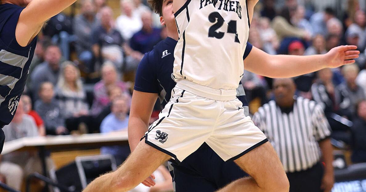 BOYS BB ROUNDUP: Panthers turn back Red Devils; Cass, Mac also post ...
