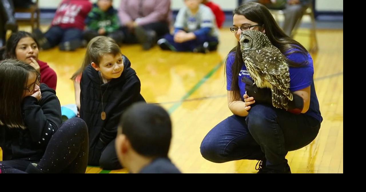 Birds of Prey | Multimedia | kokomotribune.com