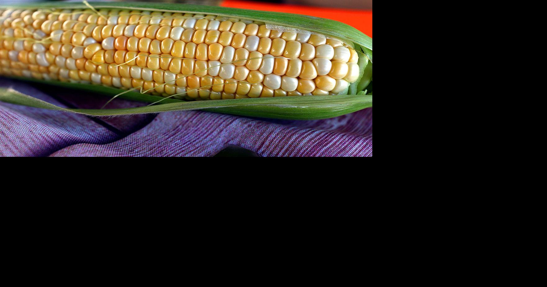 PHOTOS: Walsh Sweet Corn | News | kokomotribune.com