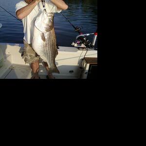 MARTINO: State continues striped/hybrid bass stocking | Sports ...