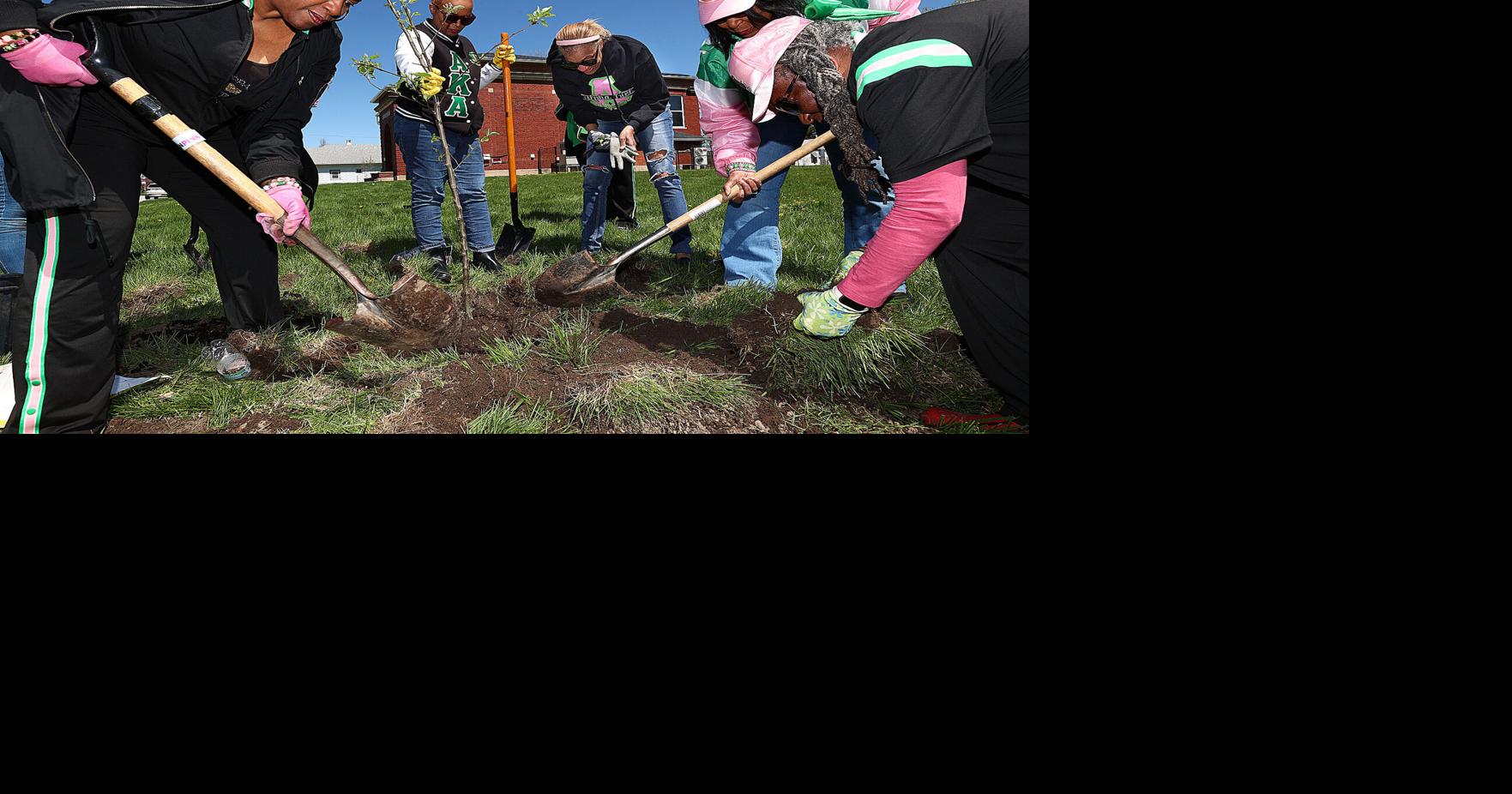 Alpha Kappa Alpha Sorority plants trees at Douglass School | News ...