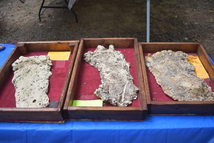 Indiana Bigfoot Research Organization tries to find creature in Morgan ...