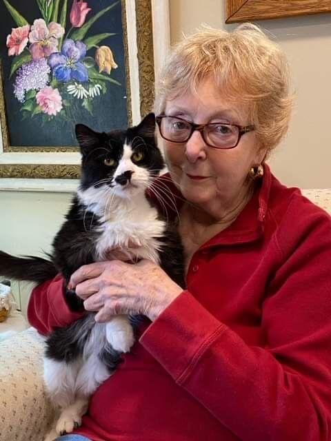 Kokomo Humane Society receives grant to help pet owners keep animals healthy | News ...