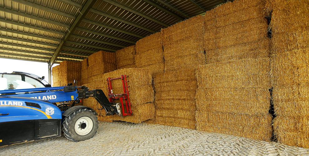 Growing a farm: Dave Simpson spends 25 years building straw-baling ...