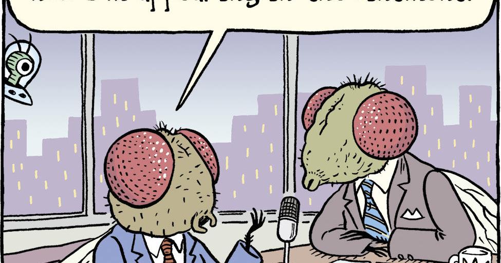 STUFF WE LIKE: Wednesday, Oct. 3, 2018 | Lifestyle | kokomotribune.com