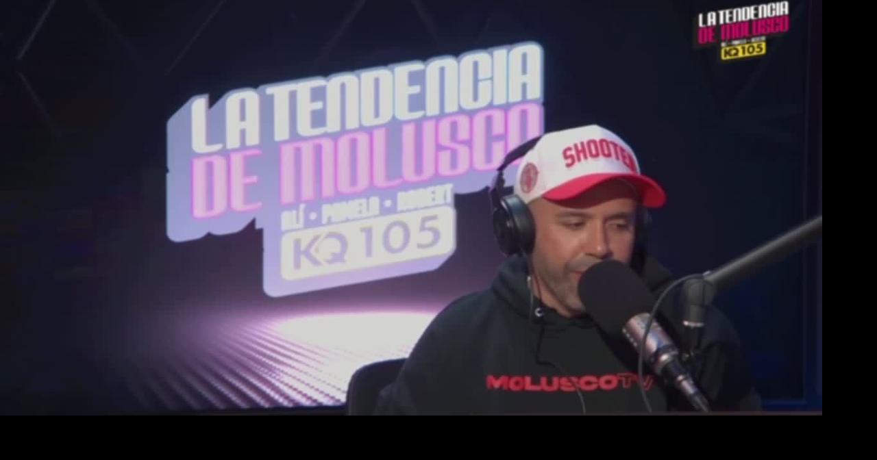 Especulan sobre el robo de 300 docenas de huevos en Bayamón | La ...