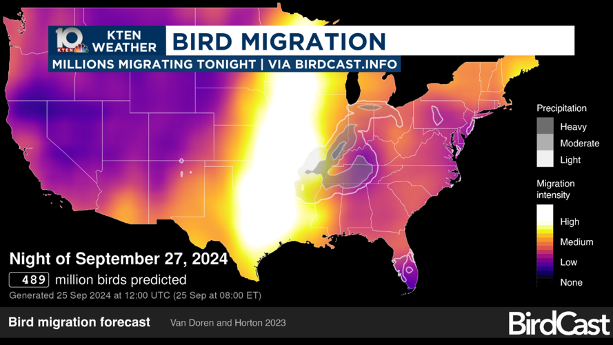 Millions of birds expected to migrate through Texoma | Weather | kten.com
