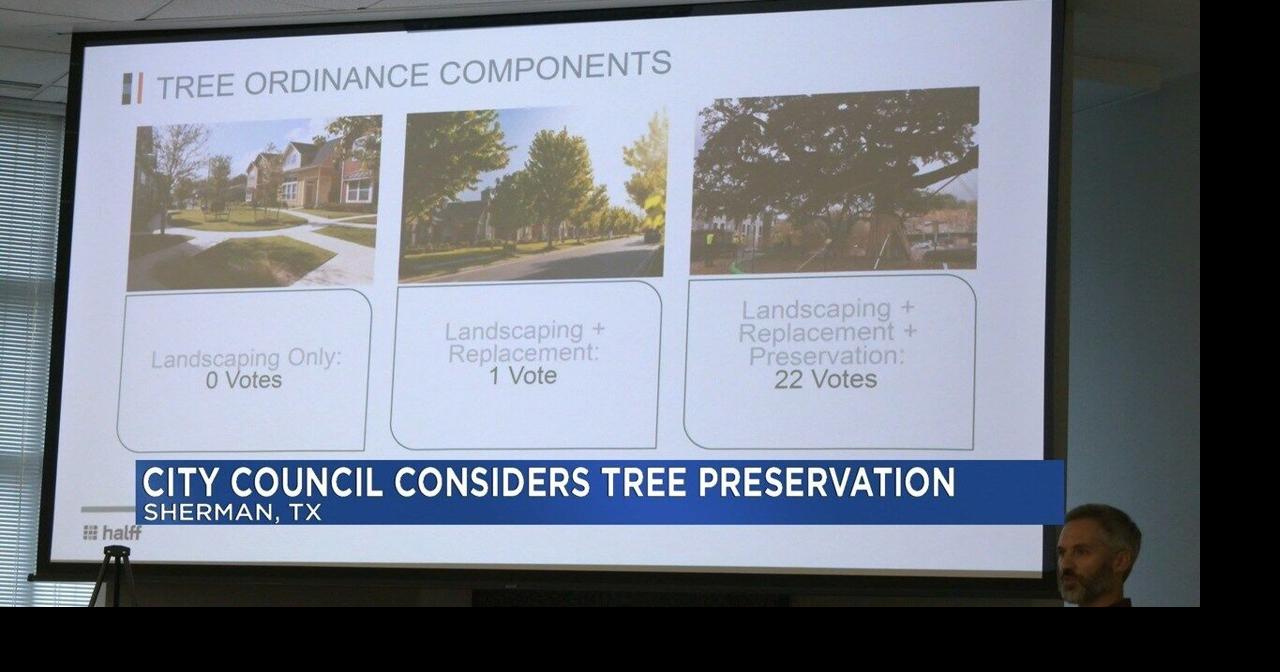 Sherman City Council considers tree preservation ordinance | | kten.com