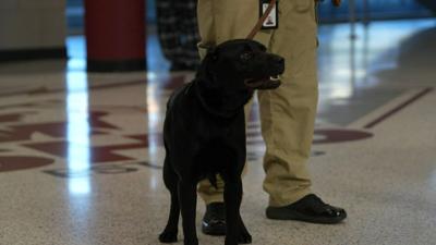 Sherman ISD Police adds K-9 to their team | | kten.com