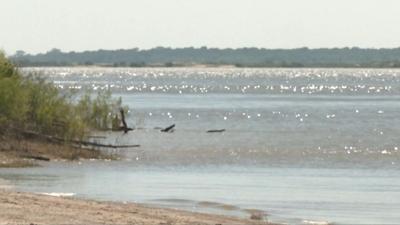 Holiday weekend drownings at Texoma-area lakes | | kten.com
