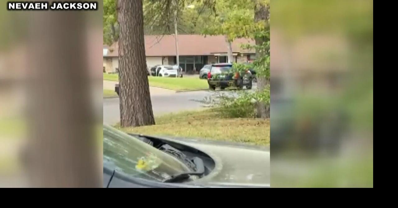 Denison police recover stolen car during traffic stop | Texas Headline ...