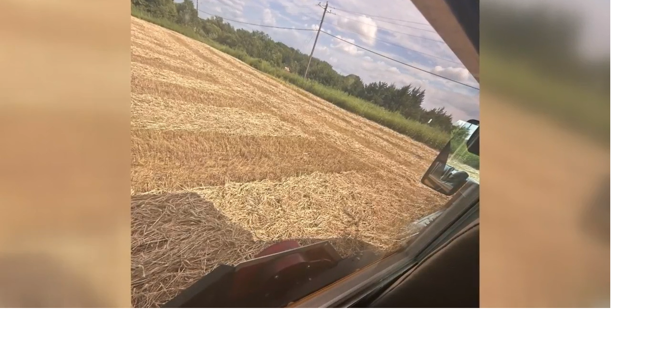 Police investigate Van Alstyne school bus crash | News | kten.com