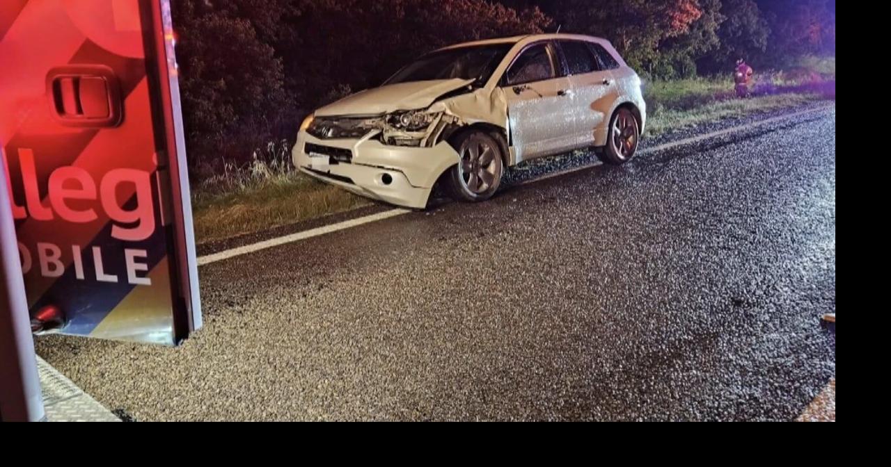 Traffic disrupted after car and cow collide in Gunter | Texas Headlines ...