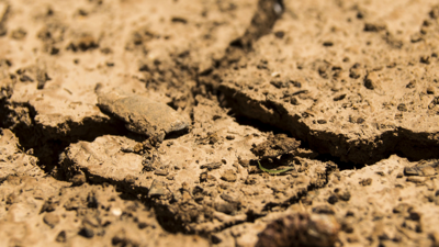 Dry October for Texoma | Weather | kten.com