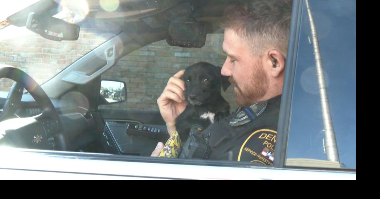 Denison police officer rescues puppy tossed from car | Features | kten.com