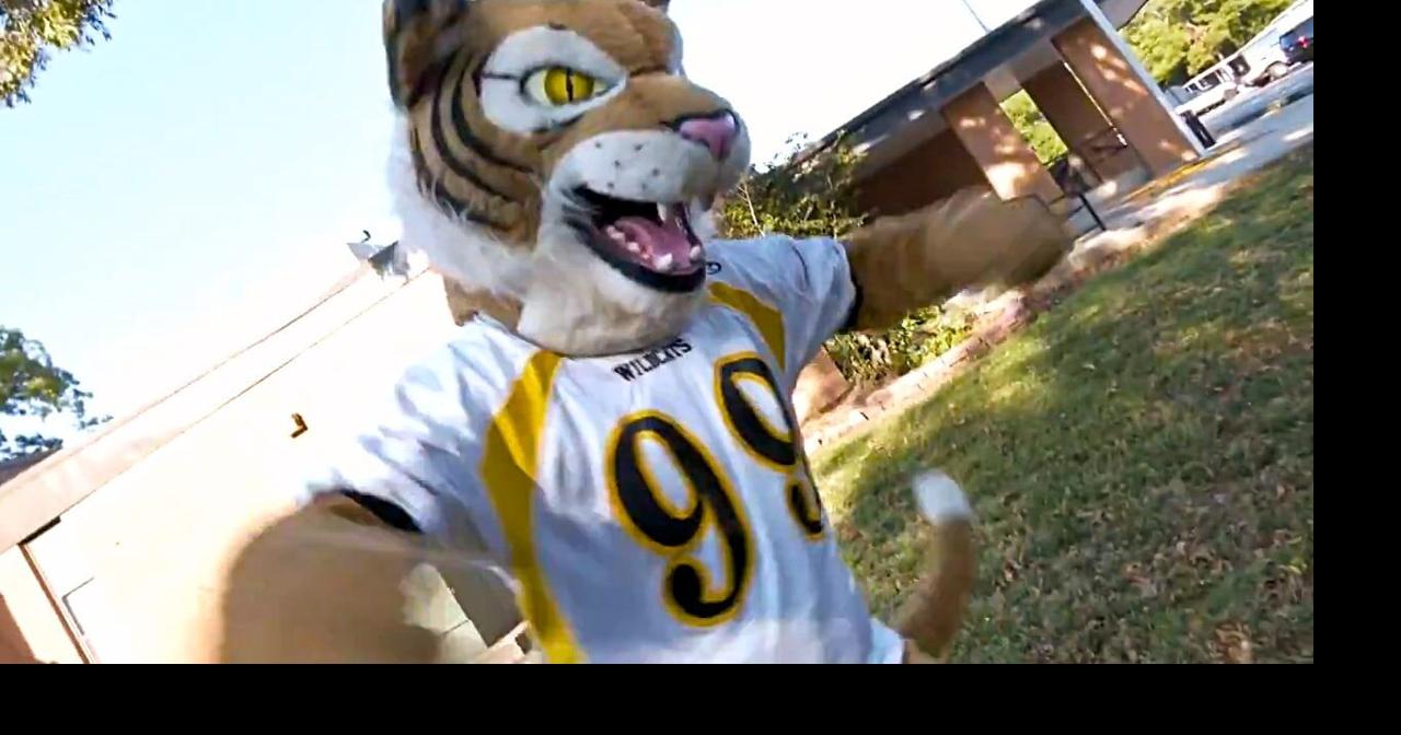 Willie the Wildcat ready for KTEN's Game of the Week | Features | kten.com