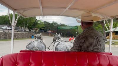 Turner Falls success story: Carriage rides | | kten.com