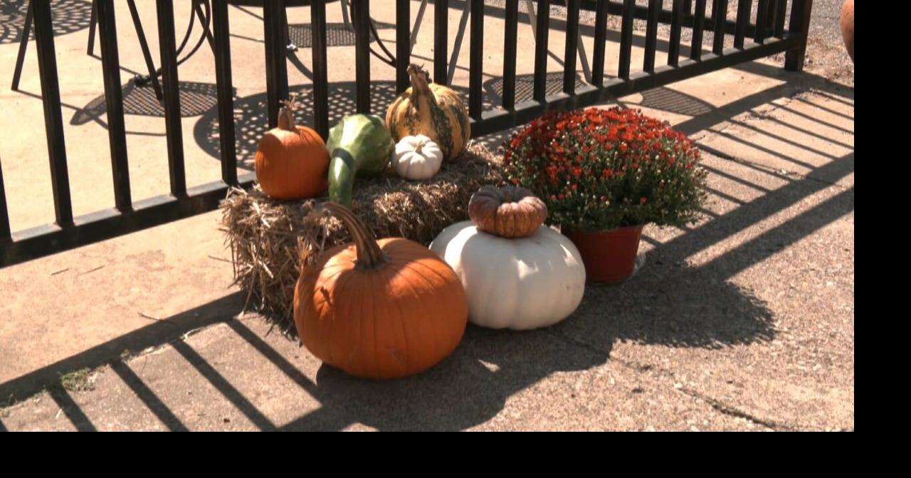 Denison 'Fall Fest' connects families to businesses | Texas Headline ...