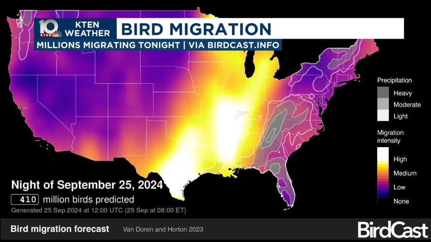 Millions of birds expected to migrate through Texoma | Weather | kten.com