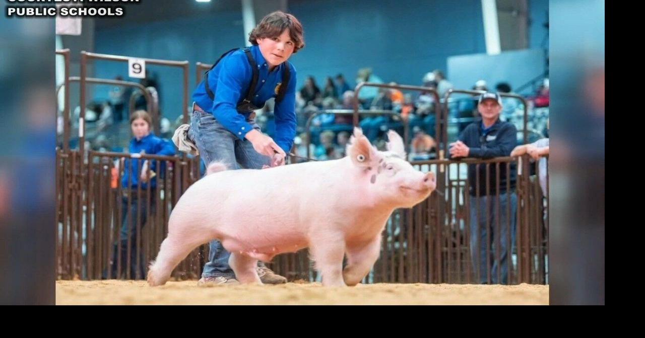 Swine sale proves lucrative for Wilson High student | News | kten.com