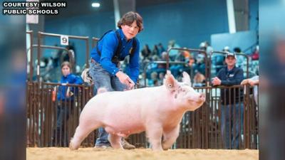 Swine sale proves lucrative for Wilson High student | News | kten.com