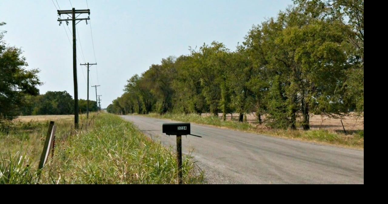 Driver dies after car hits cow in Carter County | | kten.com