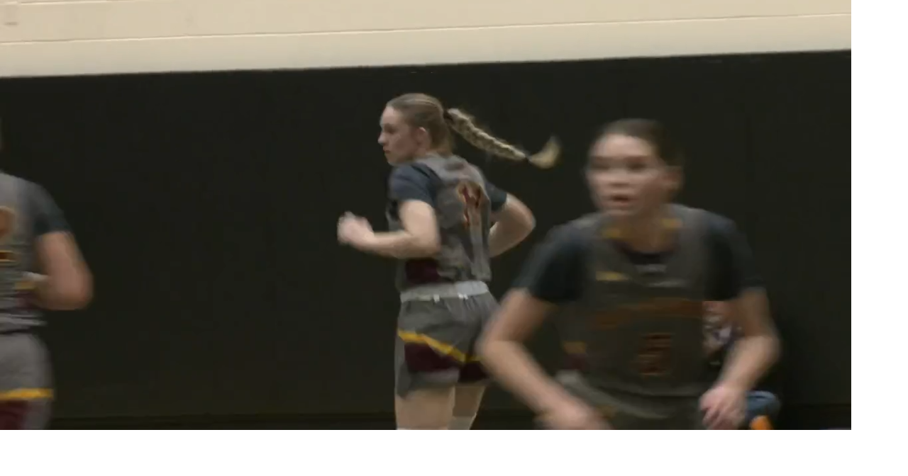 Bells Lady Panthers fall to the Paradise Lady Panthers in the Regional ...